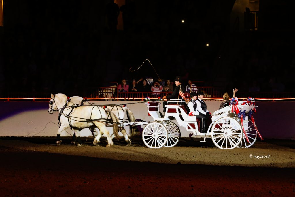 Theater Equus Fjords 180303 #01 - Horse World Expo Theater Equus Fjords 180303 #01 - Horse World Expo